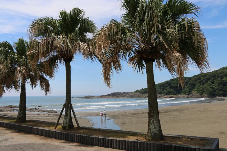 A guide to Miyazaki beaches and pools for your summer fun! | Highlights ...
