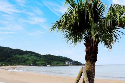 A guide to Miyazaki beaches and pools for your summer fun! | Highlights ...