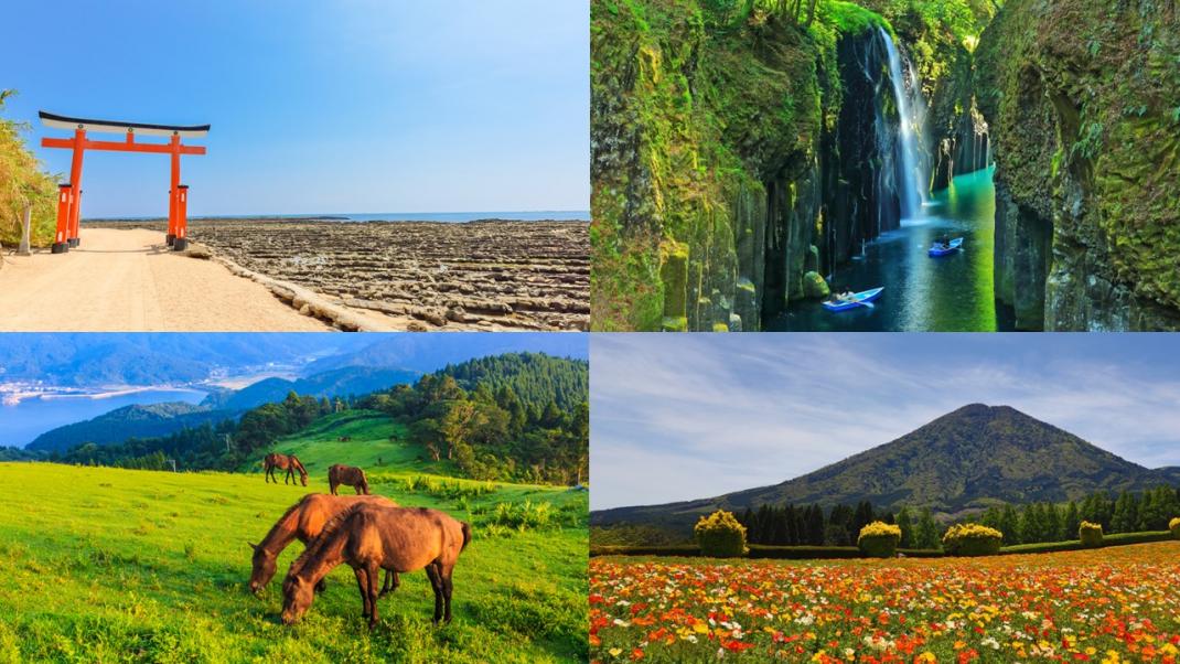 The best beef in Japan, Miyazaki Beef | Highlights | Visit MIYAZAKI ...