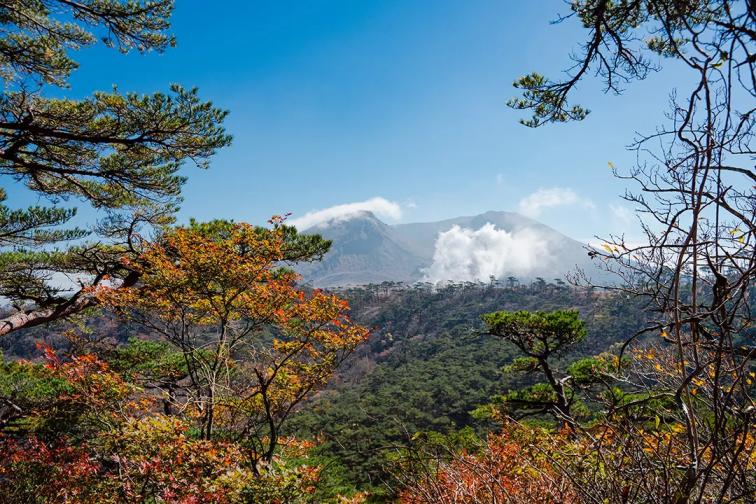 Exploring Natural Parks in Autumn | Highlights | Visit MIYAZAKI ...