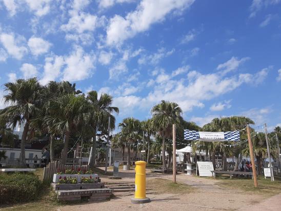 AOSHIMA BEACH PARK | 観光スポット | 宮崎県公式観光サイト「みやざき観光ナビ」