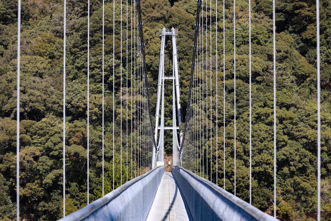 Visit MIYAZAKI -Official Tourism Website of Miyazaki Prefecture-